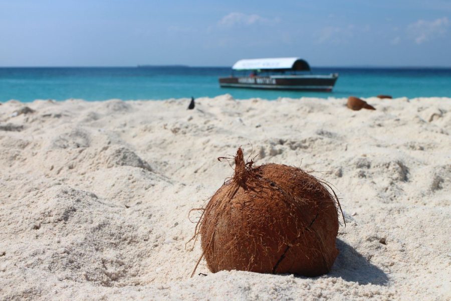 Zanzibar en juin : avis, météo, choses à faire et hébergement - My ...